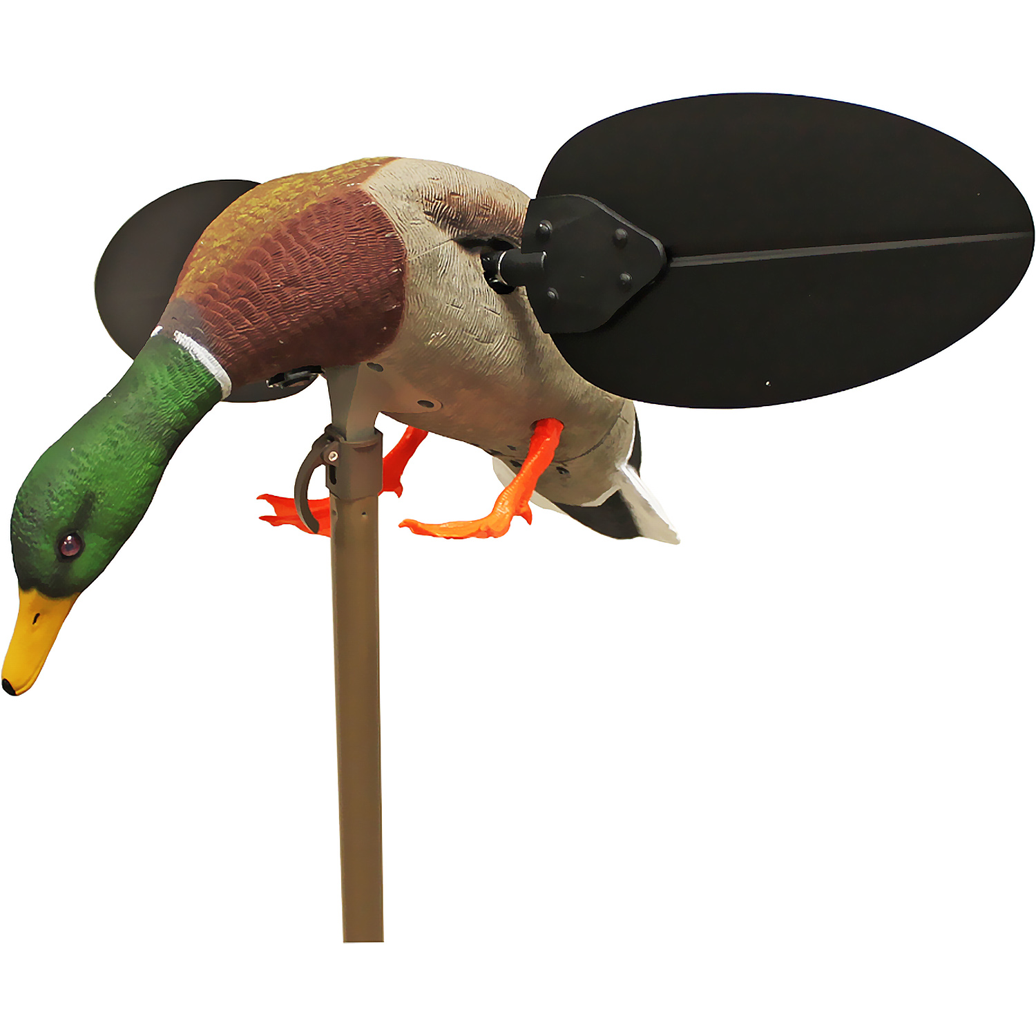 MOJO Outdoors MOJO Mallard Drake Motorized Duck Decoy with Remote ...